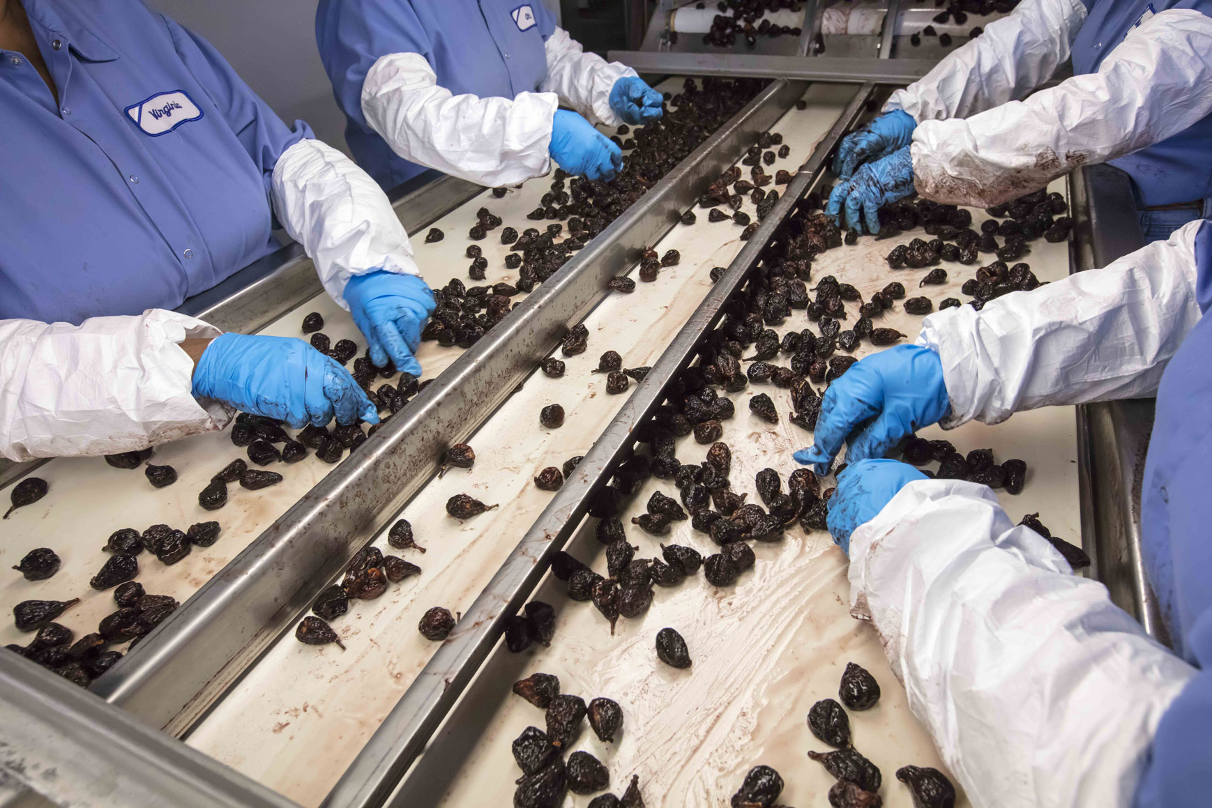 Dried Fig Processing for the Best Figs in the World | Valley Fig Growers Dried Fig Processing for the Best Figs in the World | Valley Fig Growers