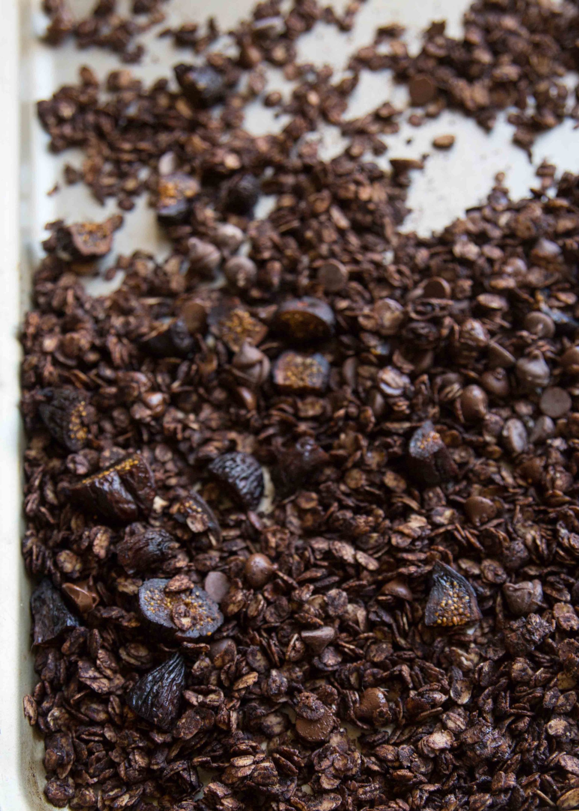 Double Chocolate Fig Homemade Granola Recipe - Valley Fig Growers