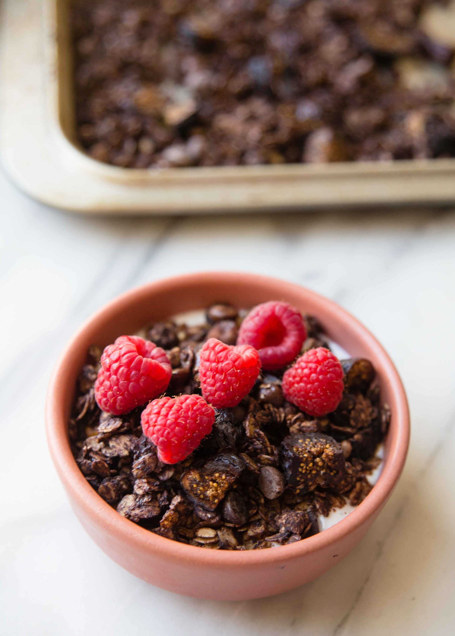 Double Chocolate Fig Homemade Granola Recipe - Valley Fig Growers